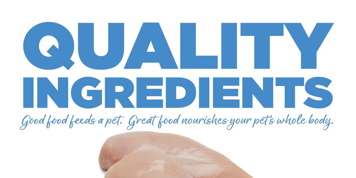 NutriSource Pure Vita Grain-Free Cat Food, Made with Chicken and Peas ...