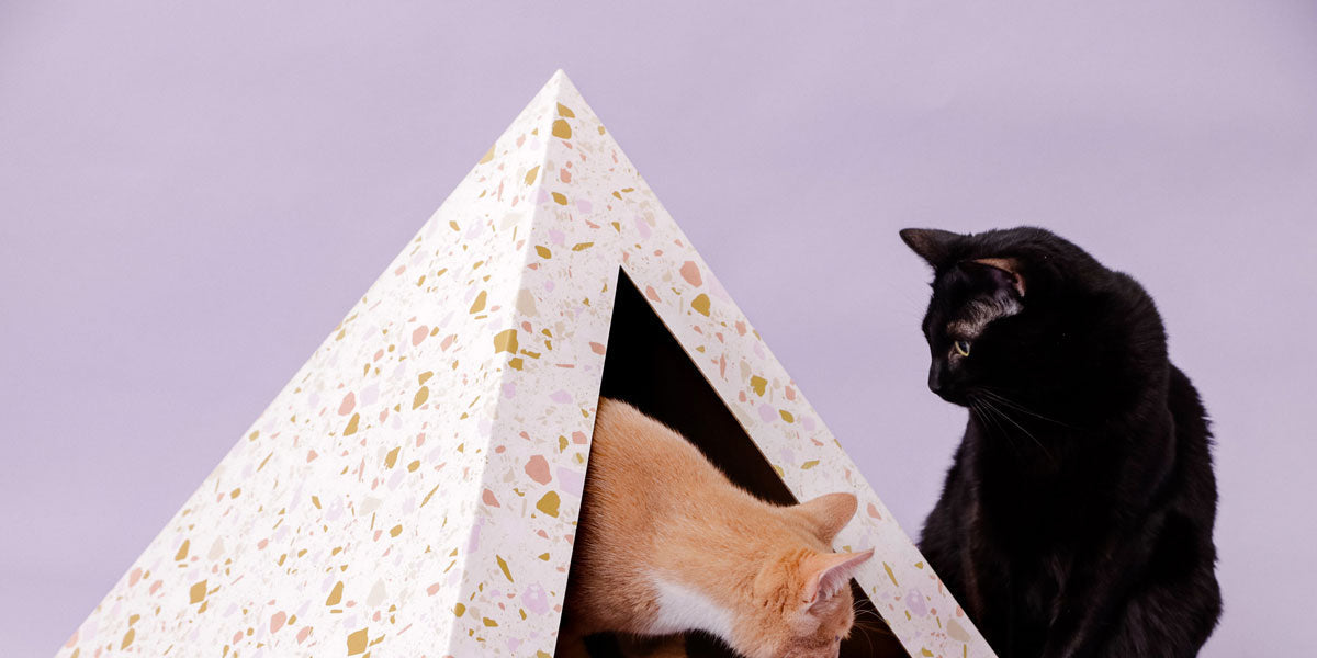 'Terrazzo' Cardboard Cat Pyramid – Click Seattle Local